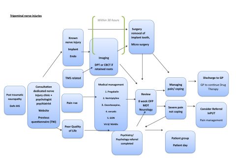 Orofacial Pain Pathways for Clinicians | Orofacial Pain