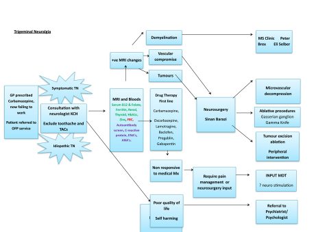 Orofacial Pain Pathways for Clinicians | Orofacial Pain