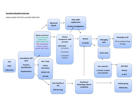 Orofacial Pain Pathways for Clinicians | Orofacial Pain